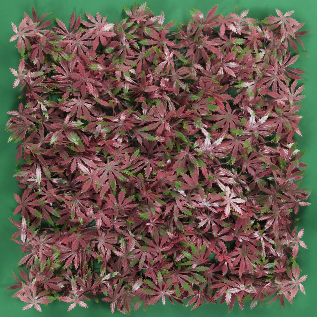 MAPLE ROJO — Timberfloors